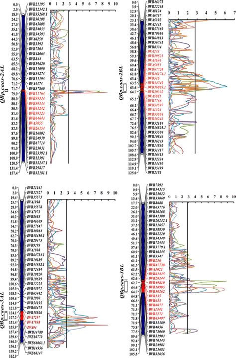 Lod Contours Obtained By Composite Interval Mapping Of Qtl For Black