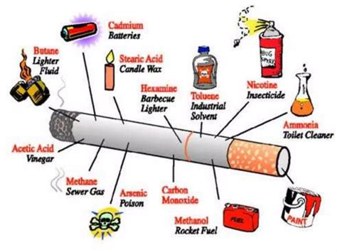 Tobacco And Effects Pptx