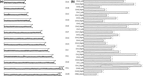 Illumina Read Coverage Over The Assembled Genome A The 50bp