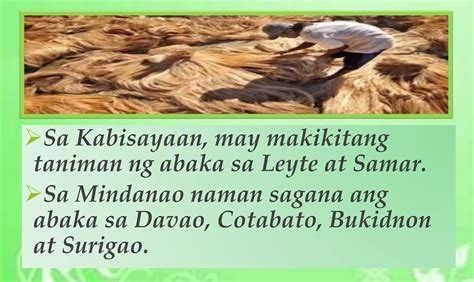 Ap Aralin 8 Ang Kinalaman Ng Klima Sa Mga Uri Ng Pananim At Hayop Sa
