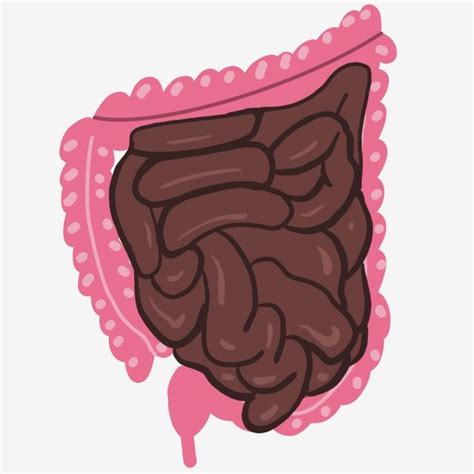 창자 만화 일러스트 장기 인간의 만화 장기 만화 창자 일러스트 장기 일러스트 Png 일러스트 및 Psd 이미지 무료