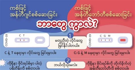 Antigen Test Kit And Antibody Test Kit What Are The Differences Mitrthai Com