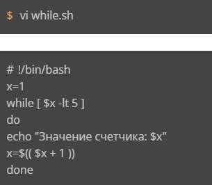 Циклы в Bash OTUS