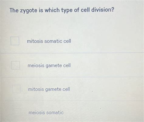 The Zygote Is Which Type Of Cell Division Mitosis Somatic Cell Meiosis