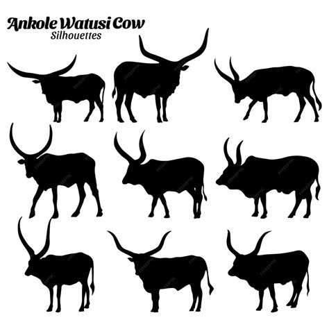 Premium Vector Ankole Watusi Cow Silhouettes Vector Illustration Set