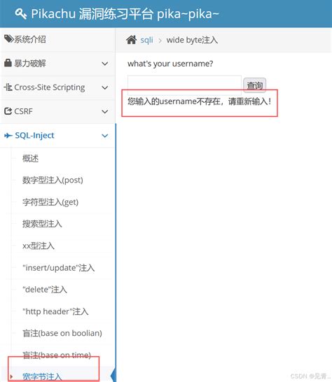 【新手入门】sql注入之宽字节注入 Csdn博客