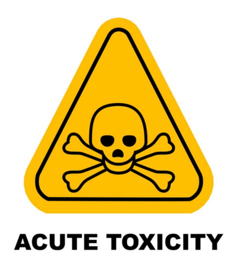 Leveraging A 20000 Chemical Database To Advance Acute Rat Oral