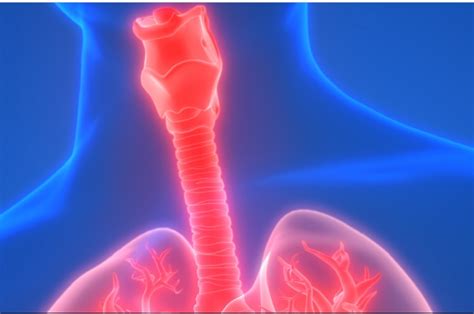 Constructing A New Trachea To Avoid Permanent Tracheostomy Johns