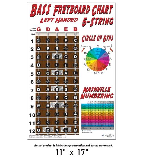 5 String Bass Fretboard Notes
