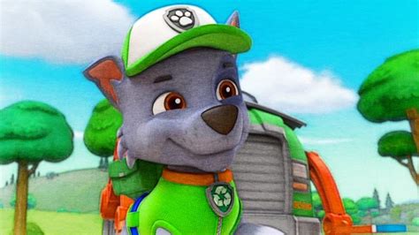 Rocky Rocky Paw Patrol Fan Art 40167320 Fanpop