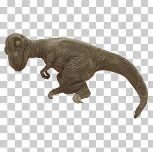 Tyrannosaurus Rex Triceratops Dinosaur Velociraptor Late Cretaceous PNG