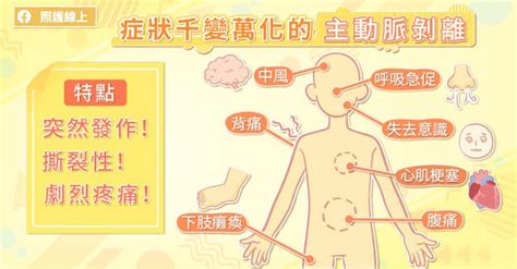 靠近脊椎的主動脈剝離36歲下肢癱瘓罕見完全復原雙腳行動自如 照護線上 健康遠見