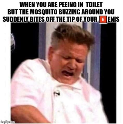 Sed Lyf Rindiandankmemes