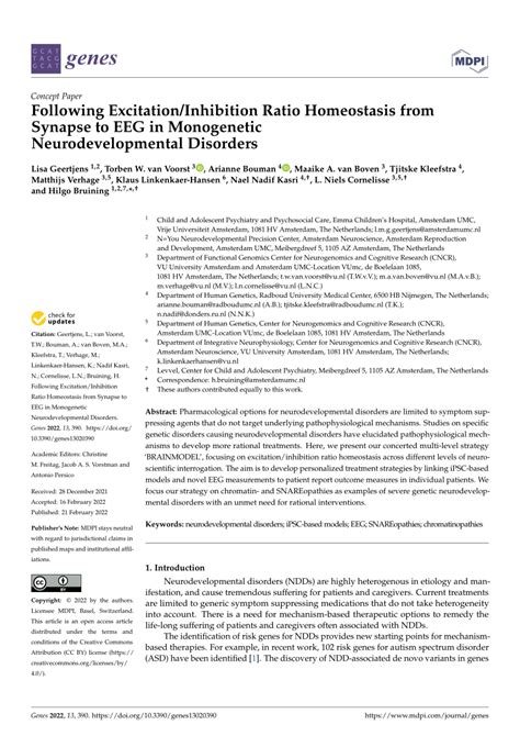 Pdf Following Excitation Inhibition Ratio Homeostasis From Synapse To Eeg In Monogenetic