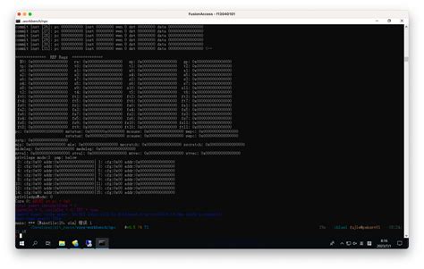 Risc V测试 Timemeansalot