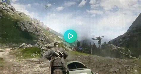 Road Kill  On Imgur