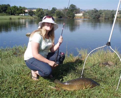 South African Common Carp Photographs And Pictures