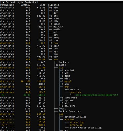 Compromised Container Analysis Primer JellyParks