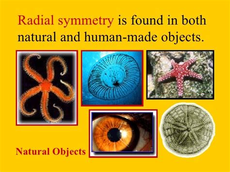 Radial Symmetry