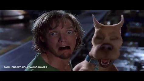 Scooby Doo Shaggy Scooby Doo Scooby Doo Movie Scooby Doo