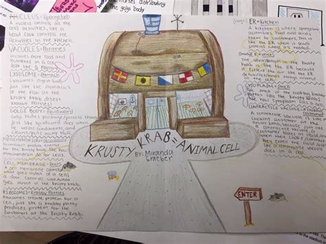 Biology Cell Membrane Analogy Project Erin Smith Worksheets Library