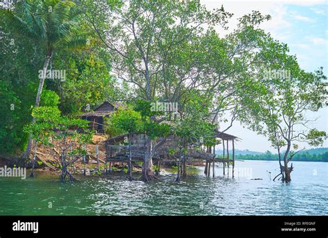 Nipa House Hi Res Stock Photography And Images Alamy