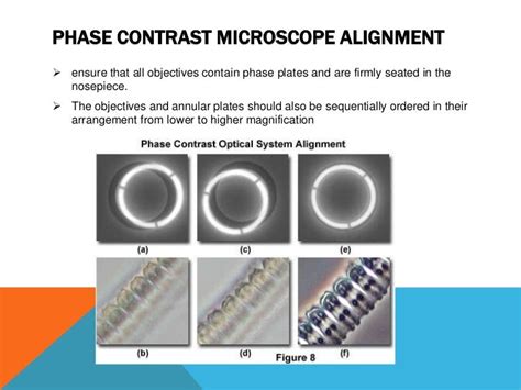 Phase Contrast Microscope