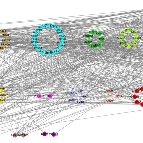 Constructing Network Based On Cytoscape 3 7 0 Download Scientific