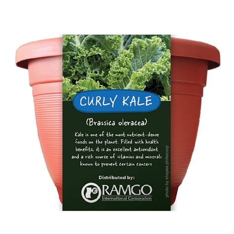 Ramgo Grow Kit Basil Rocket Aragula Italian Parsley Kecorp S1