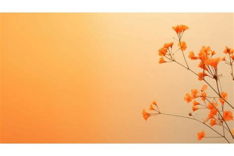 Clean Minimal Orange Background 3951950