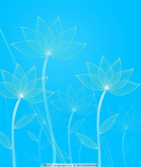 荷花图片 其他 其他 图行天下素材网