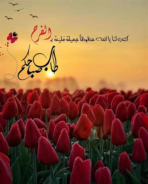 صبح و مساء 🕊 🇸🇦 🌸 On Instagram “🌺 صباح الخيرات والمسرات 🕊️ 🌻💐