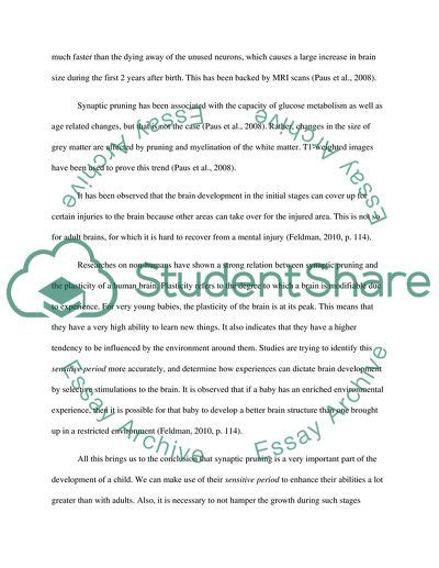 Synaptic Pruning Essay Example Topics And Well Written Essays 500 Words