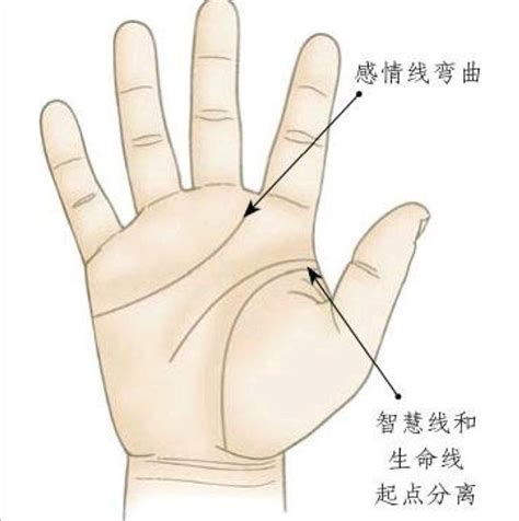 智慧線和感情線的結合，能看出一個人的戀愛觀，以及職業特性 星玄説