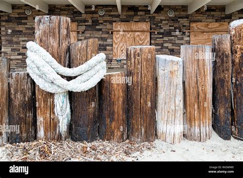 Decoration With Tree Trunk Stock Photo Alamy