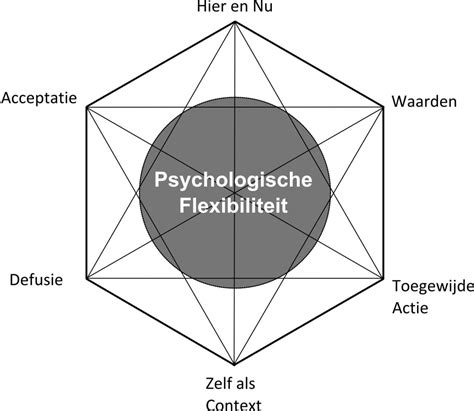 Act Hexaflex Act In Actie