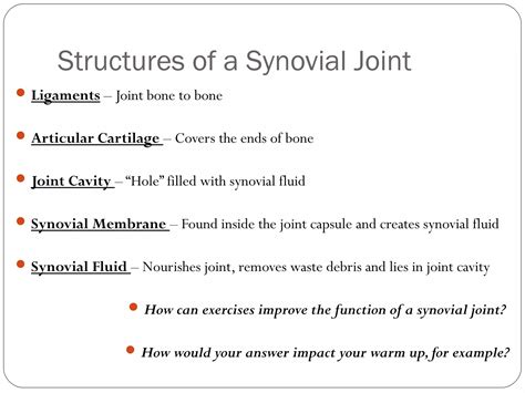 Structure Of Synovial Joint And Muscle Attachment Ppt