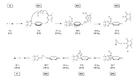 Reaction Mechanism For The H2O2 Triggered Conversion Of Boronated Download Scientific Diagram