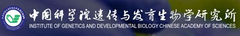 基因编辑农业领军人物高彩霞，和她的产业化之路 知乎