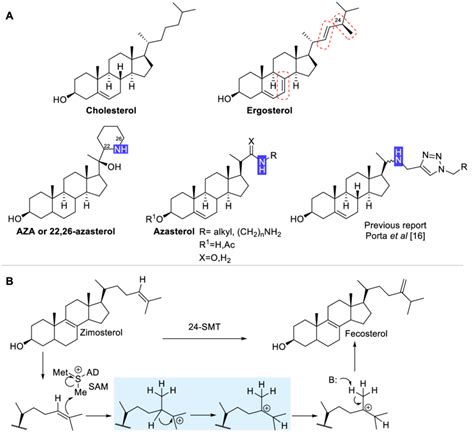 A Structural Differences Between Cholesterol And Ergosterol