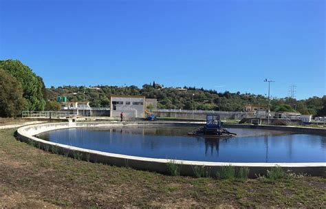 Invisible Pero Vital El Ciclo De Las Aguas Subterráneas Sociedad