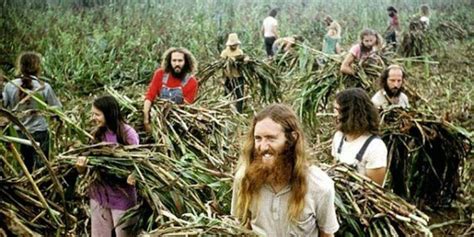 Hippie Qué Es Origen Cartacterísticas E Historia