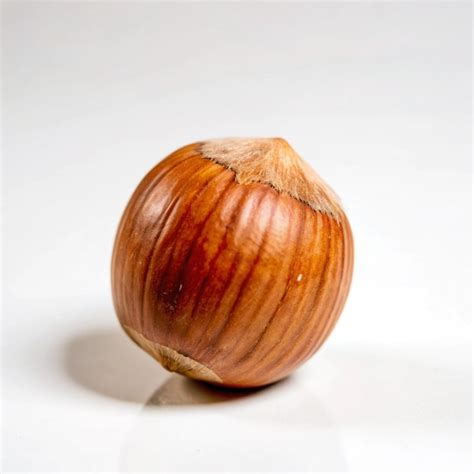 A Brown Wooden Clump With A Brown Shell On It Premium Ai Generated Image