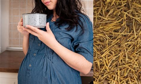 「清胎毒」是生b前指定動作？白蓮鬚補腎氣令順產更有力氣（附食譜） 分享媽