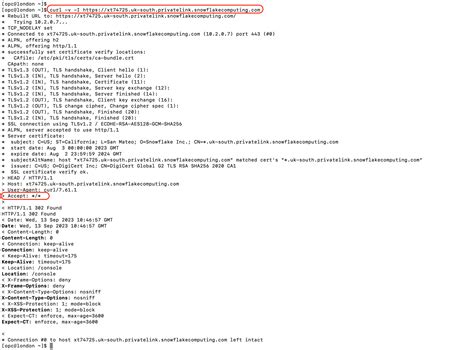 Connecting Oci Goldengate To Snowflake Private Endpoints