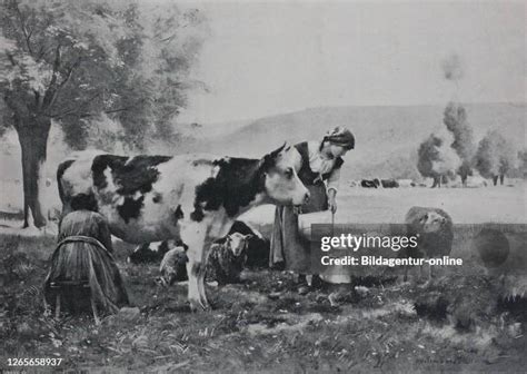 Pouring Milk Drawing Photos And Premium High Res Pictures Getty Images