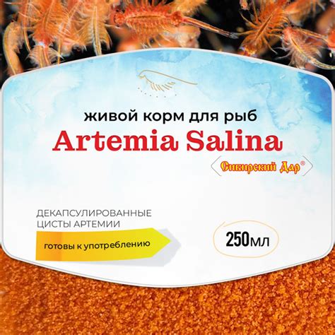 Декапсулированные яйца артемии (цисты) - корм для рыб "Сибирский дар ...