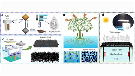 D Printed Microstructure Forest Facilitates Solar Steam Generator Desalination AIP Publishing LLC