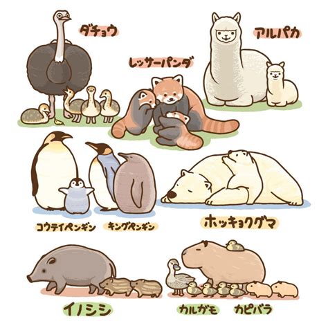 可愛い動物の赤ちゃん