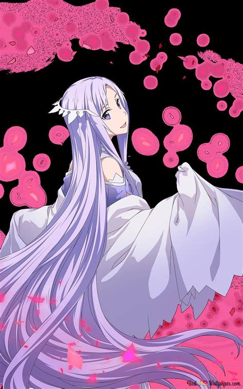 Sword Art Online Alicization Quinella Hd Wallpaper Download